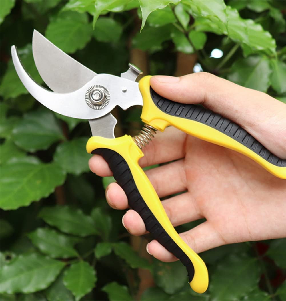 ZHXNE Piece Decorative Branch Shears, Professional Flower Shears ...