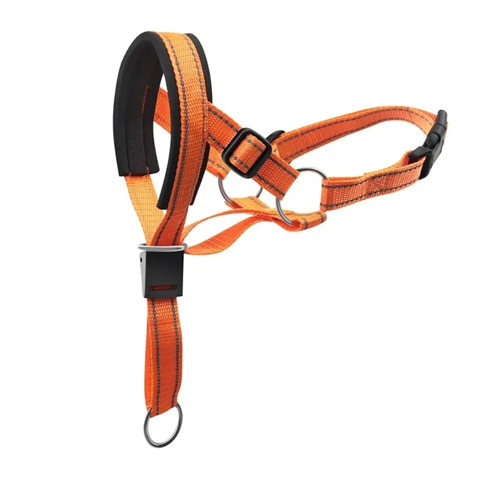 ZHaobin Dog Muzzles Anti Adjustable Nose Mouth Set Training Lead Rope ...
