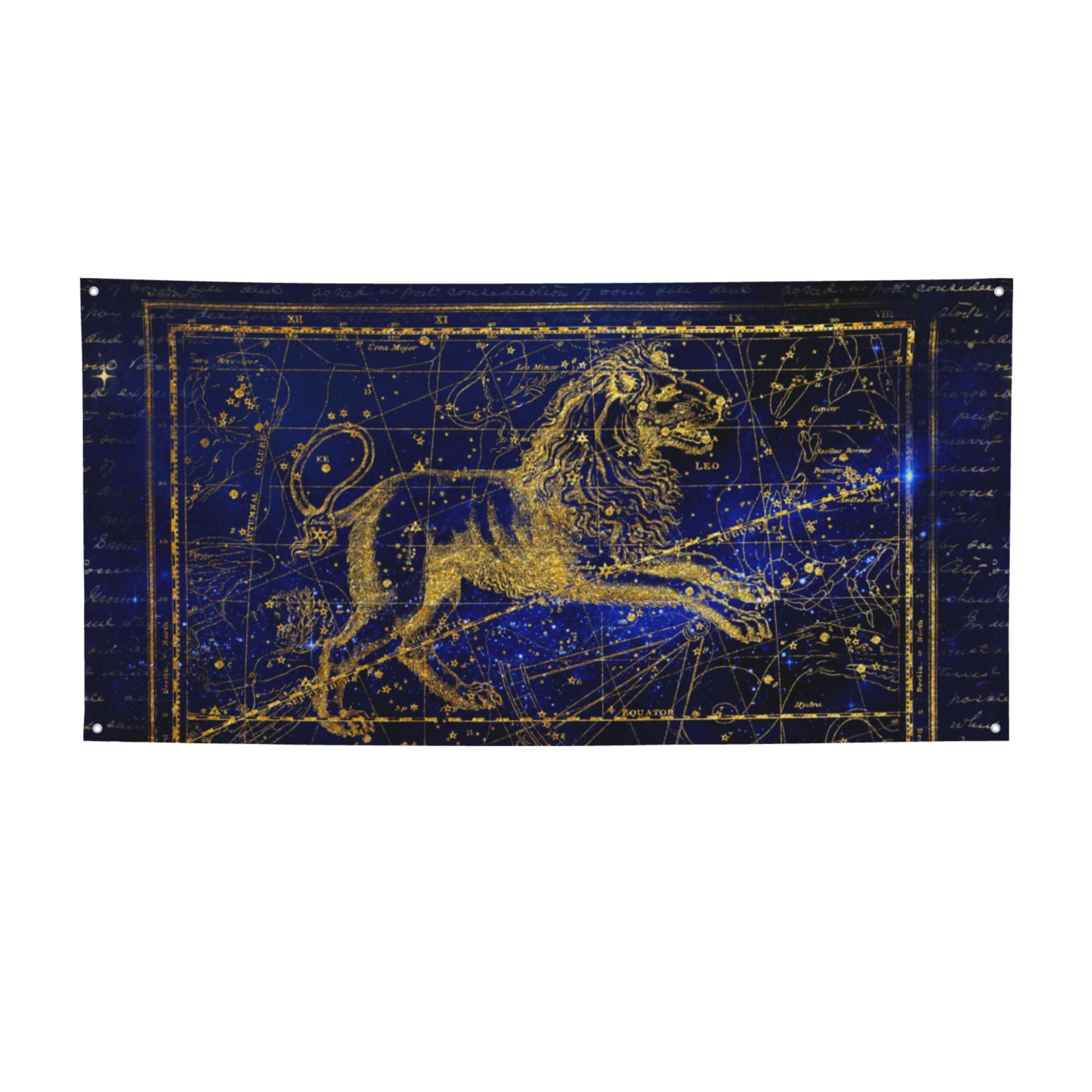 ZICANCN Banner Yard Signs, Constellation Lion Star Sign Party Wall ...