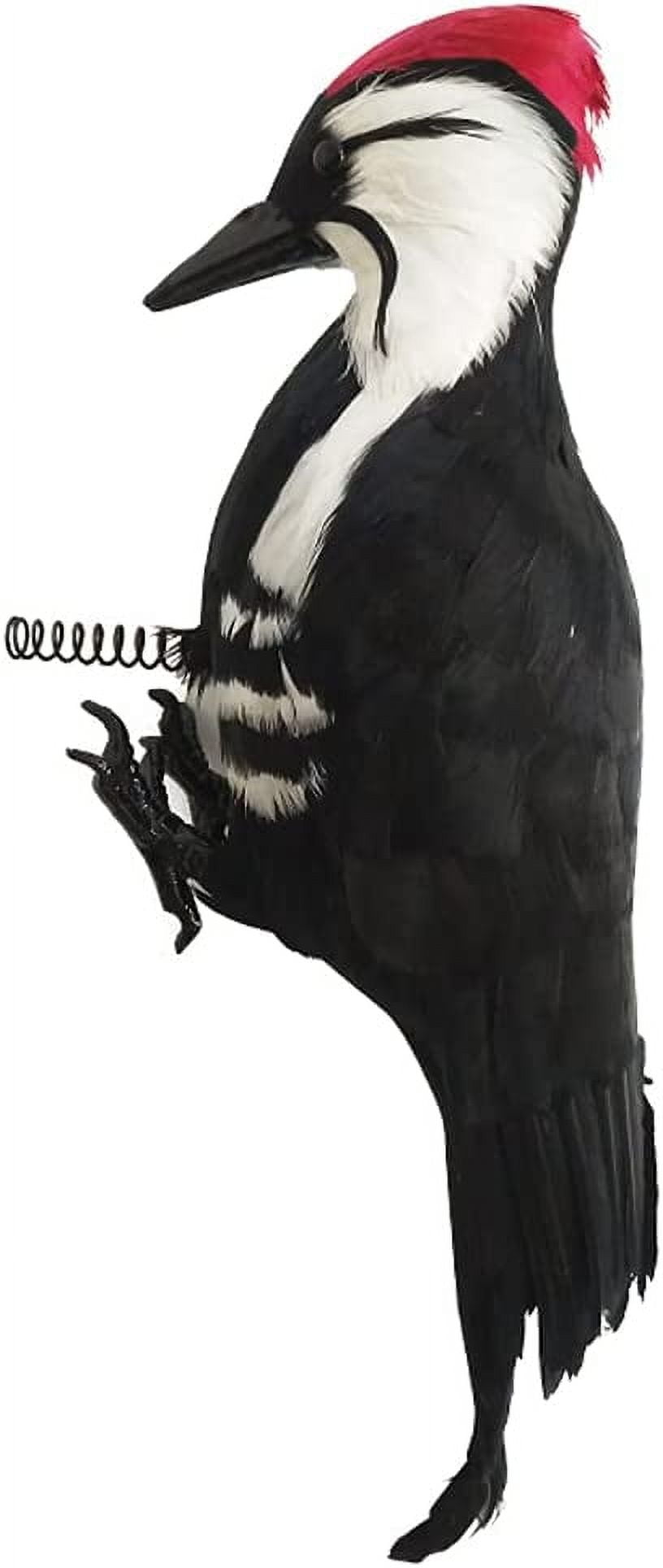 ZILIN 17 inch Woodpecker Effigy Lifelike Woodpecker Let The Woodpecker ...