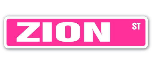 ZION Street Sign Childrens Name Room Sign | Indoor/Outdoor | 30" Wide ...