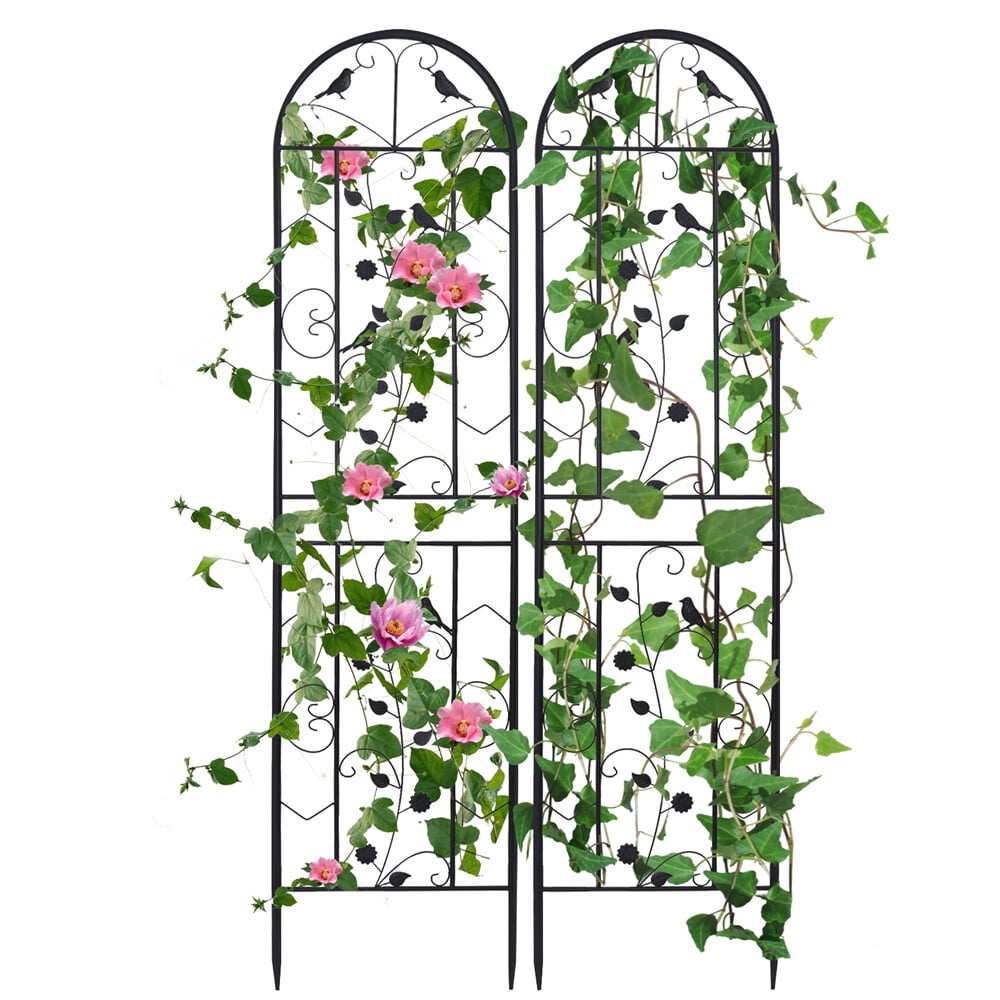 ZIPOE 2-Pack Metal Garden Arch Trellis – Rustproof Steel Fencing for ...