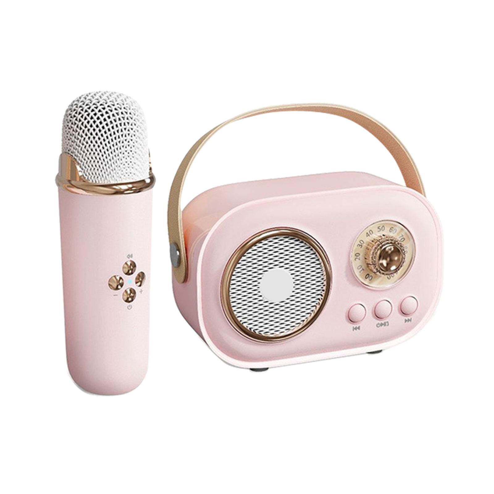 ZIZOCWA Mini Karaoke Machine for Kids Adults Portable Bluetooth Speaker ...