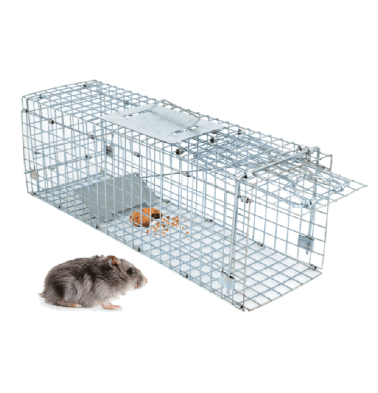 ZJINJIN-Humane Live Animal Trap 24'' Steel Cage for Small Live Rodent ...
