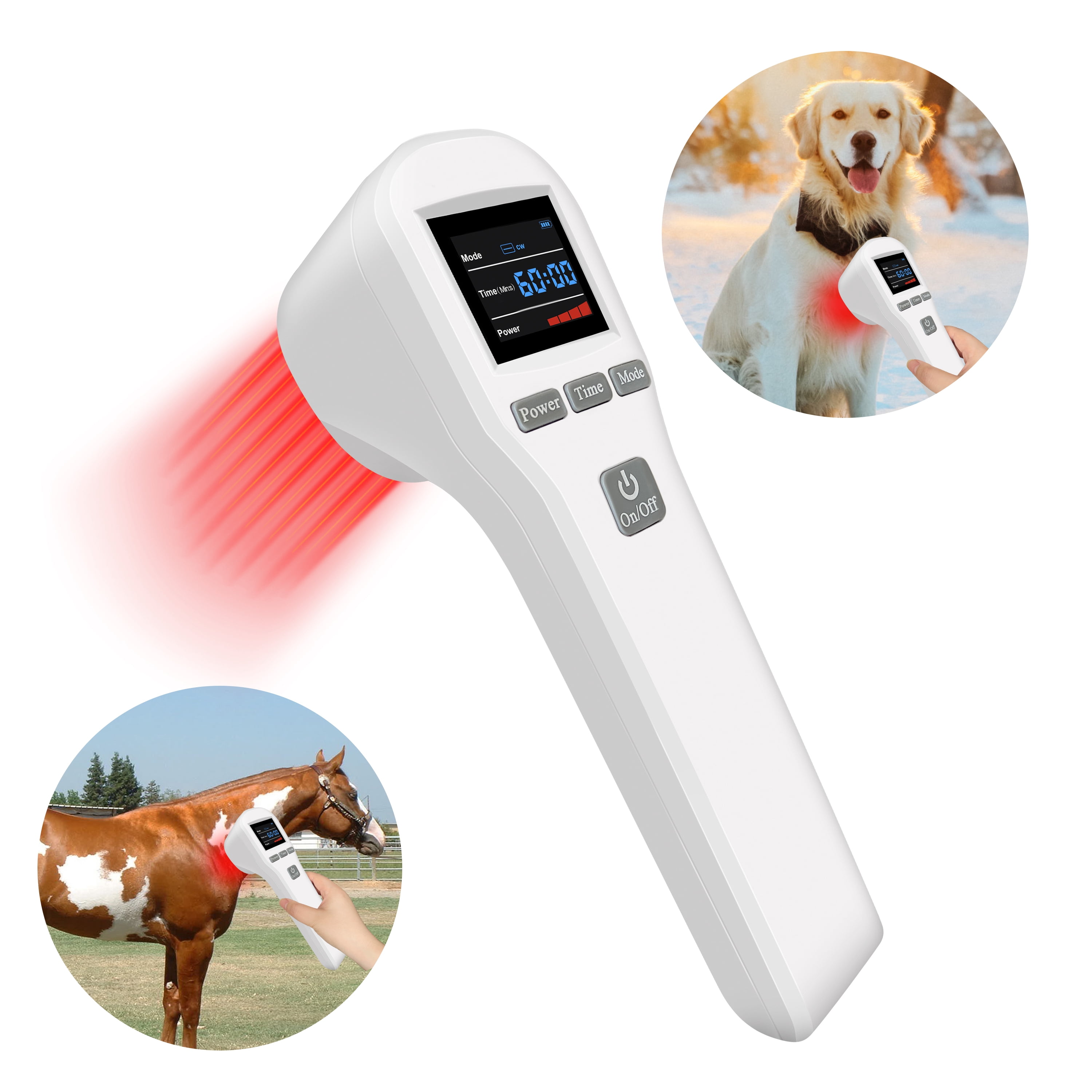 ZJKC Cold Light Therapy Device for Animals – 650nm & 808nm for Hips and ...