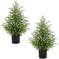 ZJQYDS 2FT Artificial Norfolk Pine Christmas Tree – Tabletop Faux Tree ...
