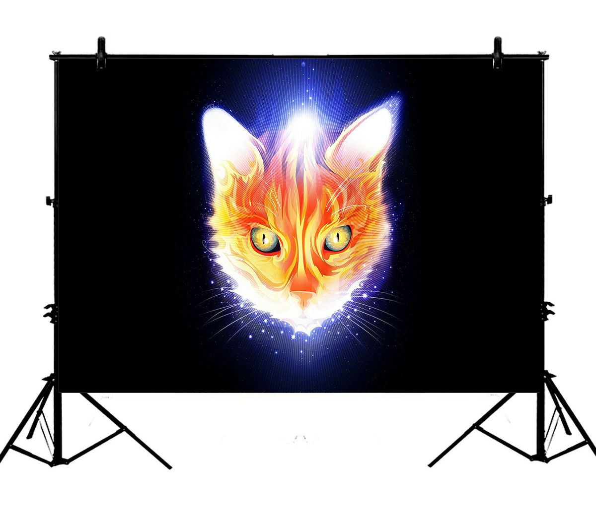 ZKGK 7x5ft Animals Kitten Cat Polyester Photography Backdrop For Studio ...