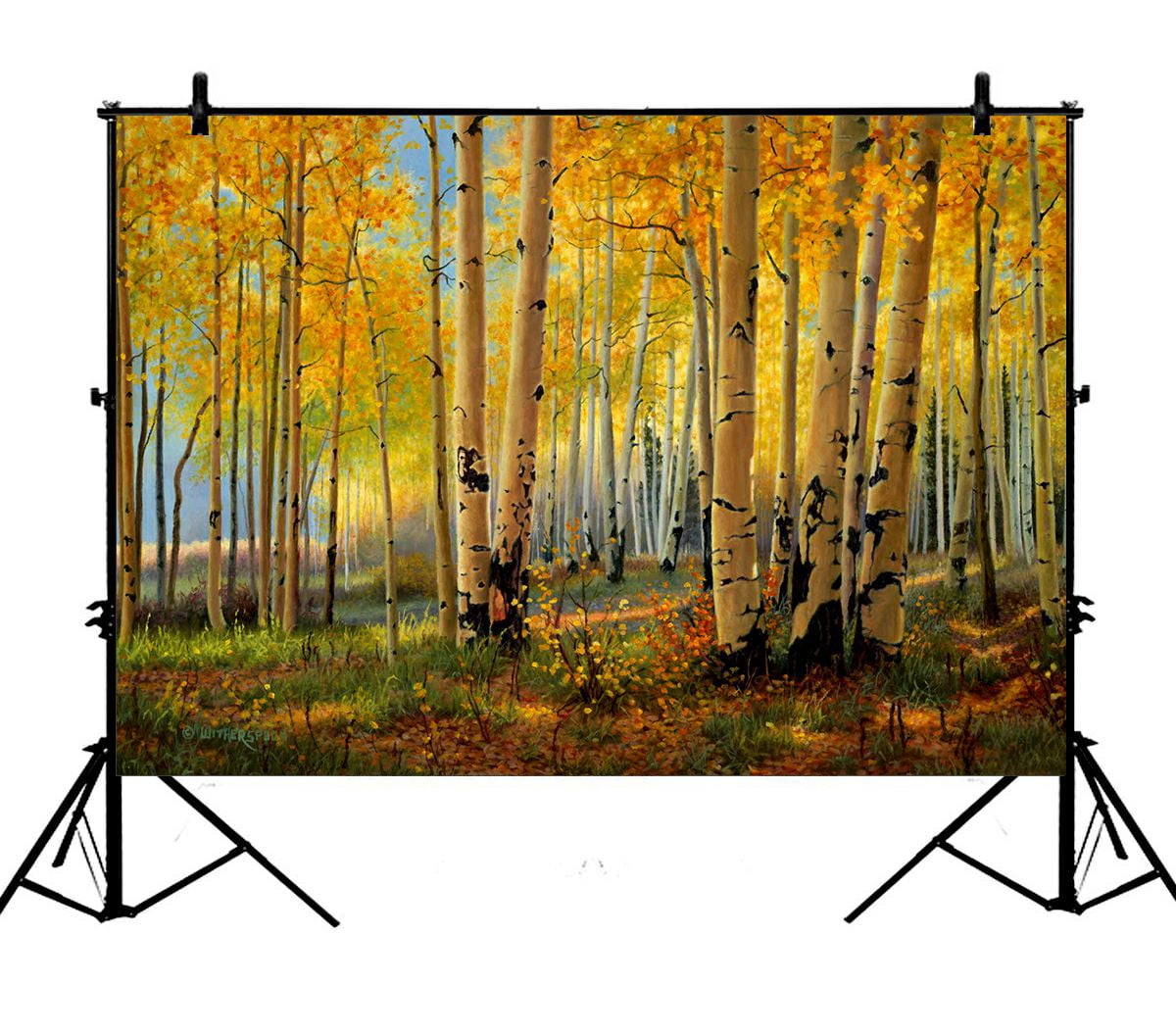 ZKGK 7x5ft Birch Tree Polyester Photography Backdrop For Studio Prop ...