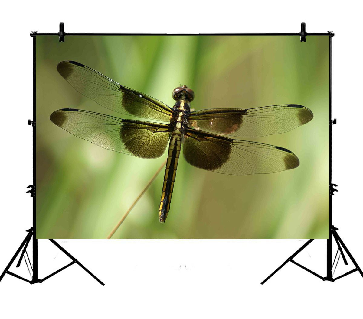 ZKGK 7x5ft Dragonfly Polyester Photography Backdrop For Studio Prop ...