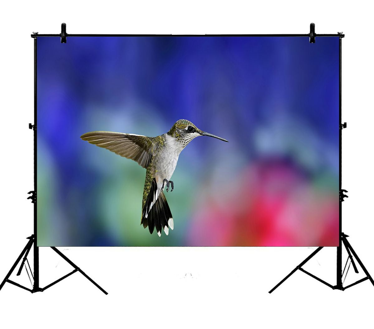 ZKGK 7x5ft Hummingbird Polyester Photography Backdrop For Studio Prop ...