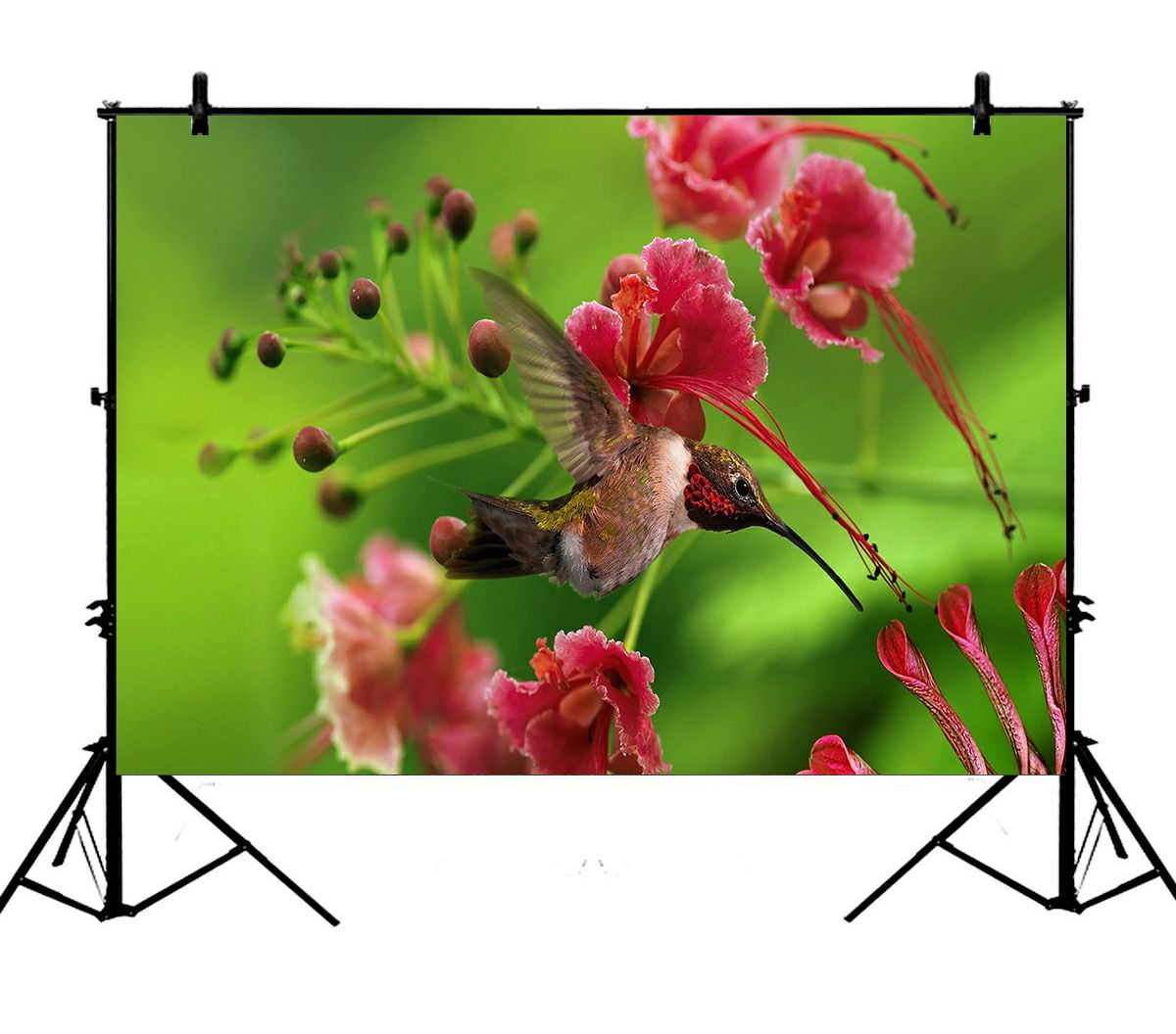 ZKGK 7x5ft Hummingbird Polyester Photography Backdrop For Studio Prop ...