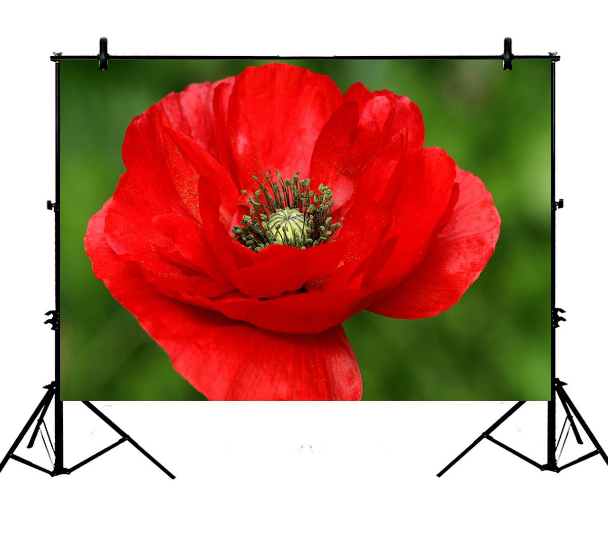 ZKGK 7x5ft Poppy Flowers Polyester Photography Backdrop For Studio Prop ...