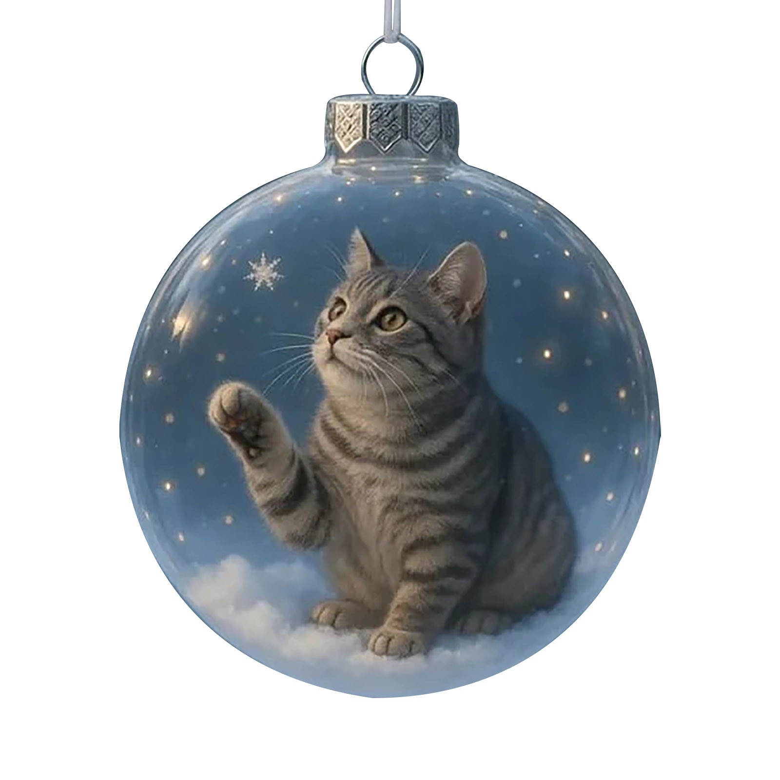 ZLBDYG Cute Cat Christmas Ornaments Set, 2d Acrylic Cat Encased in Snow ...