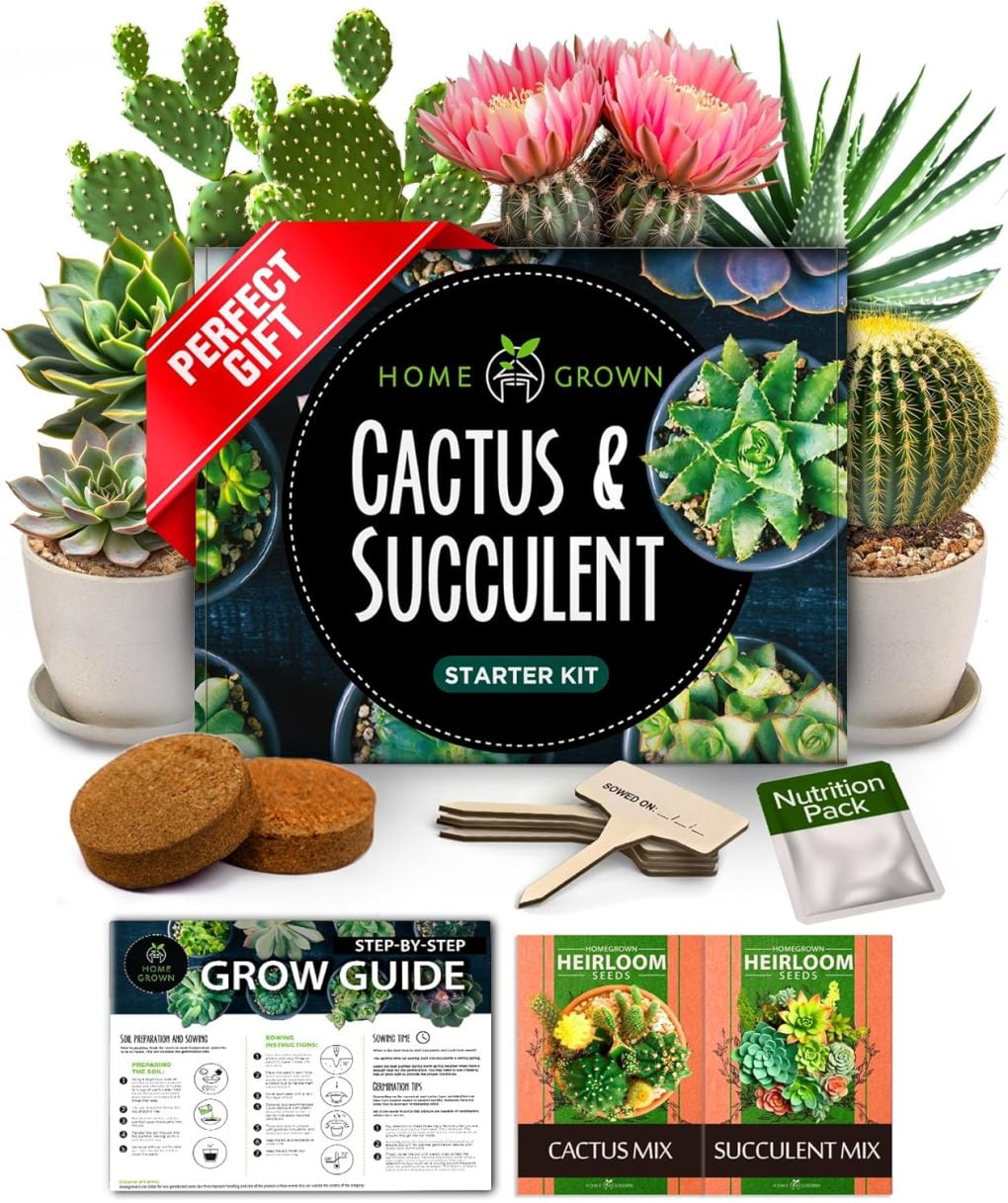 ZLGP Succulent & Cactus Seed Kit for Planting – Premium Starter Kit with 4 Planters, Drip Trays ...