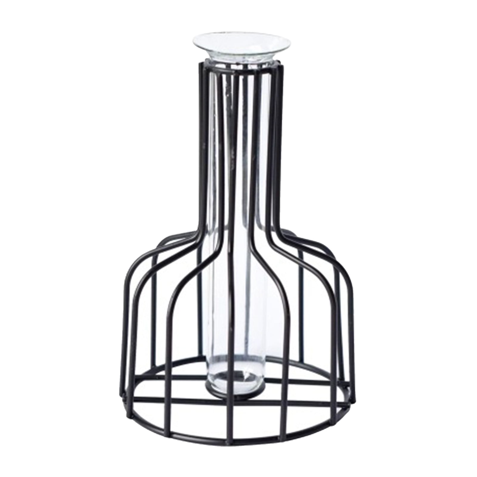 ZLLDECOR Iron Dried Flowers Transparent Glass Creative Hydroponic Test ...