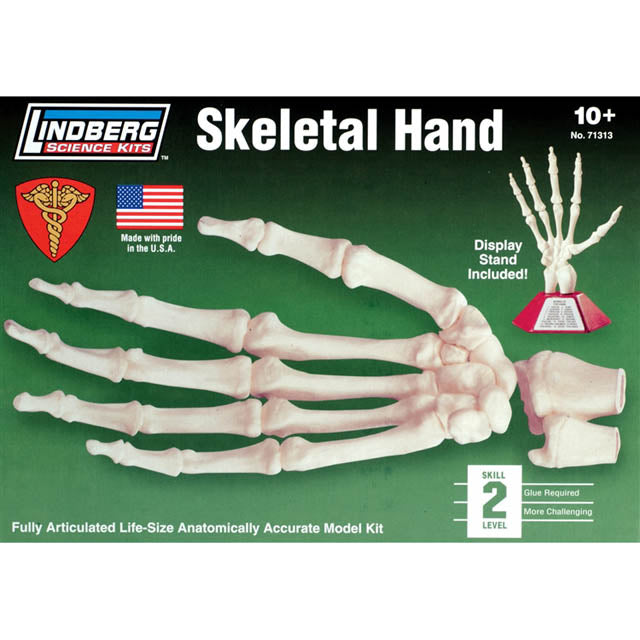 ZM71313 - HUMAN SKELETAL HAND MODEL KIT LINDBERG UNASSEMBLED LIFE SIZE ...