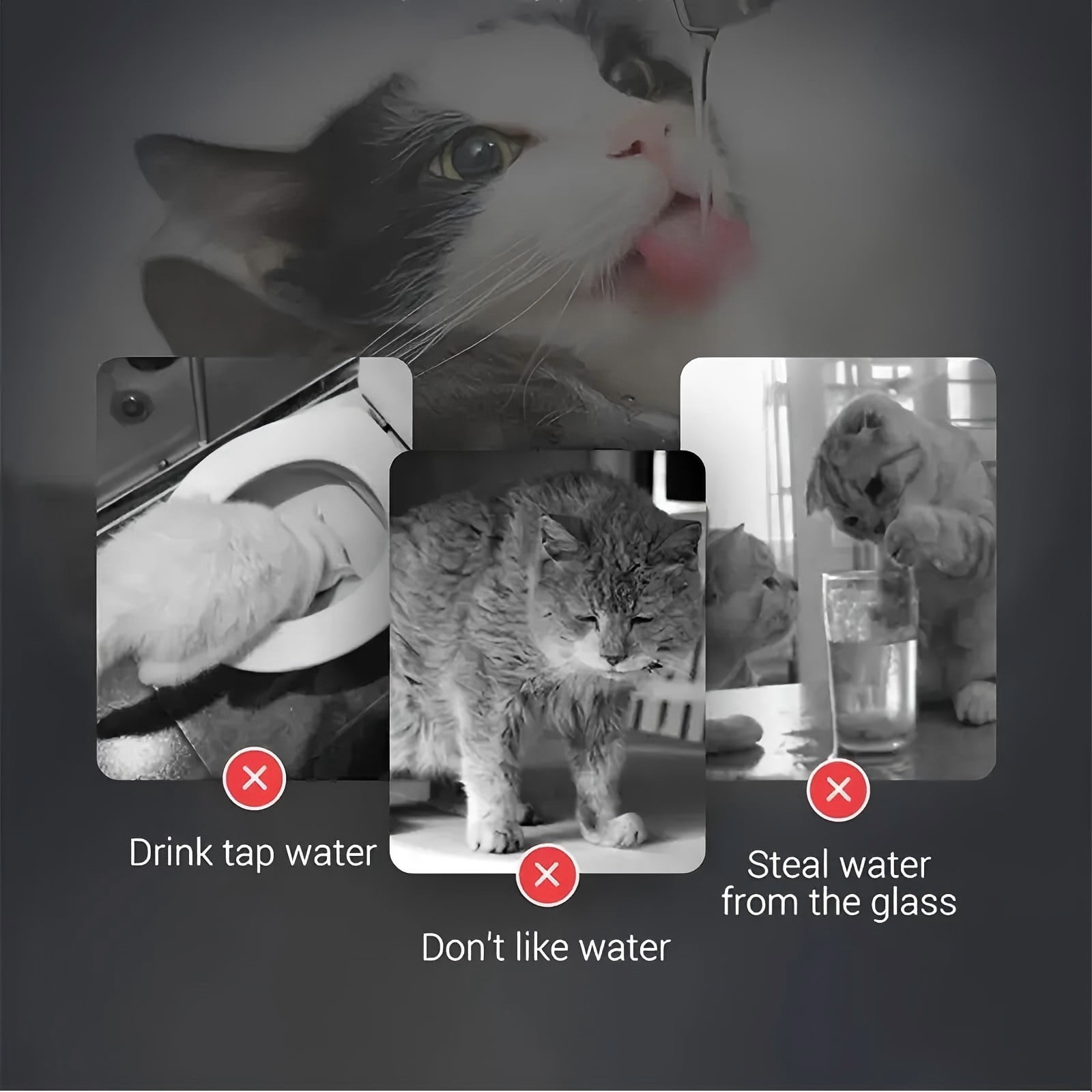 ZMGJP 1.8L USB Intelligent Cat Water Fountain Automatic Circulation Transparent Filter with ...