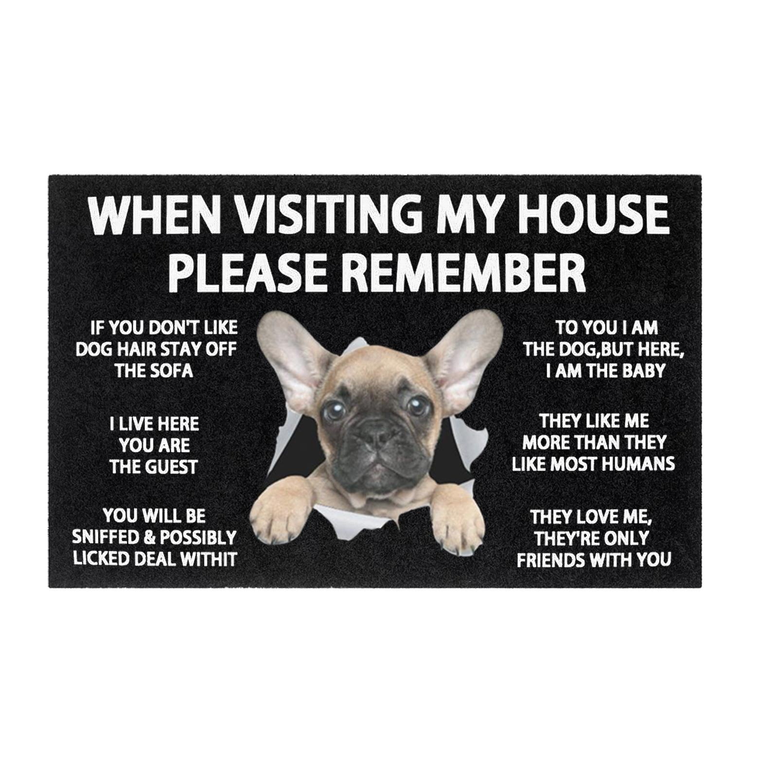 ZMHEGW Siberian Chihuahua Doormat Kitchen Bath Dog Interior Monologue ...