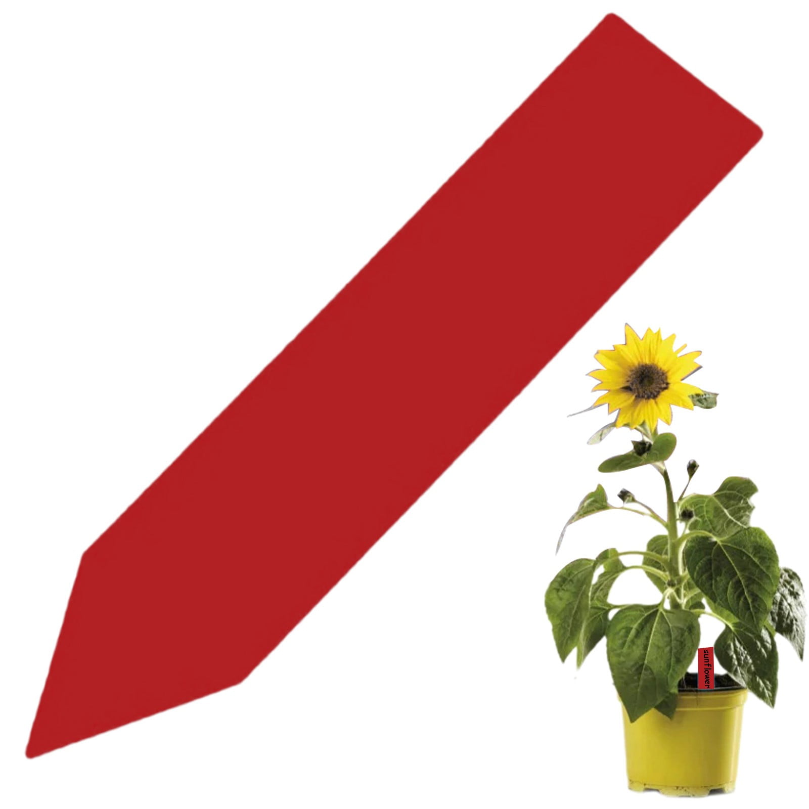 ZMKIAG 4 Inch Plant Nursery Garden Labels 100 PCS, Durable Plastic Pot ...