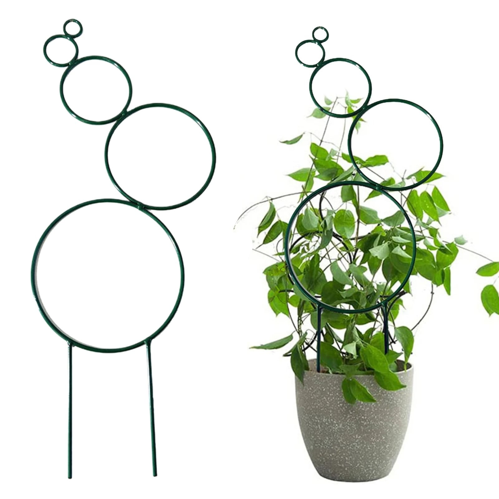 ZMKIAG Circular Metal Trellis for Climbing Plants, Indoor/Outdoor Small ...