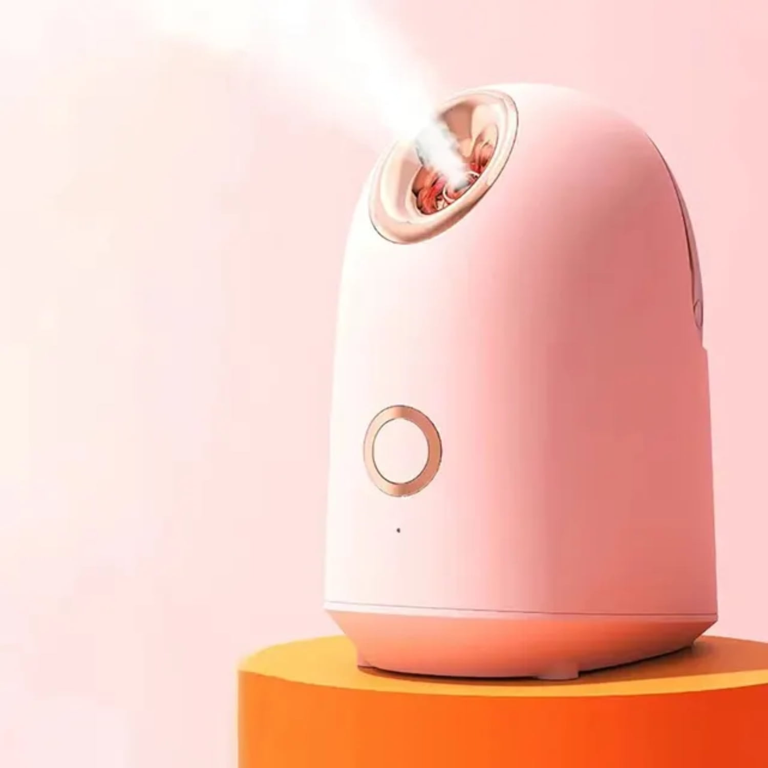 ZNGYEJZ Hot Spray Face Steamer Moisturizing Face Mister. Facial Steamer ...