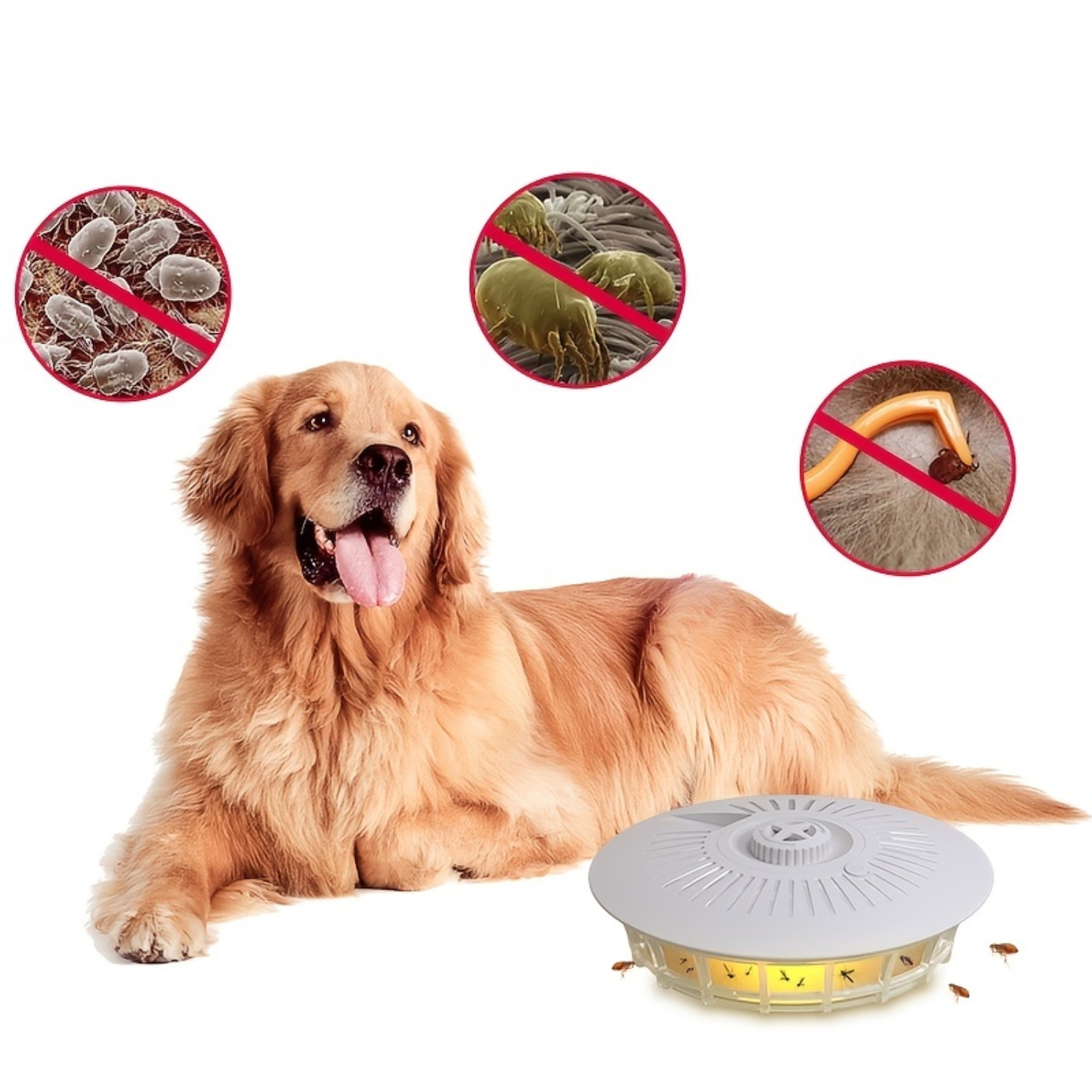 ZNGYXN Effective 1set Flea Guardian Pro Trapping Lamp - Kills ...