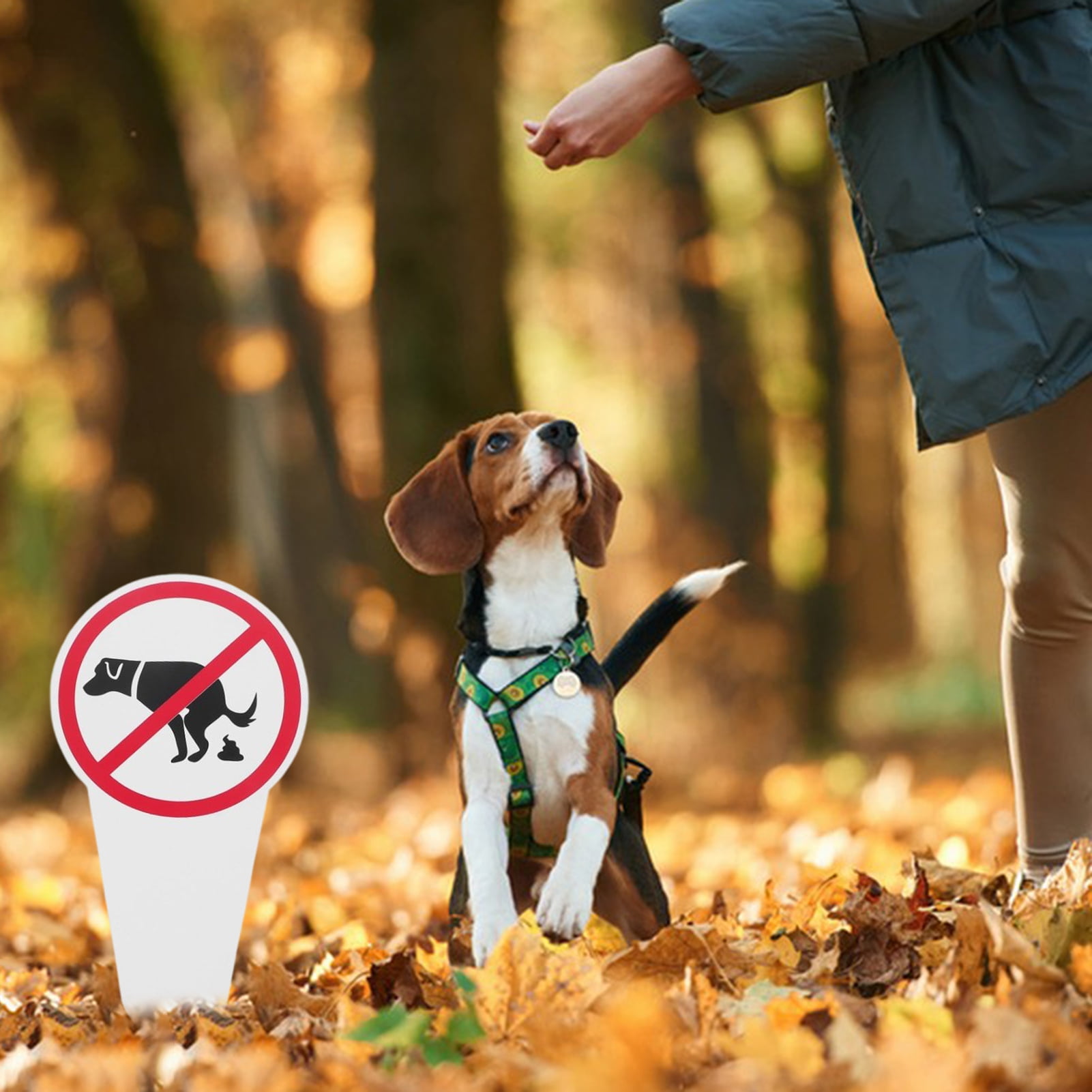 ZNNT 1/2/3Pcs No Dog Poop Sign Stake Double Sided Outdoor Garden Yard ...