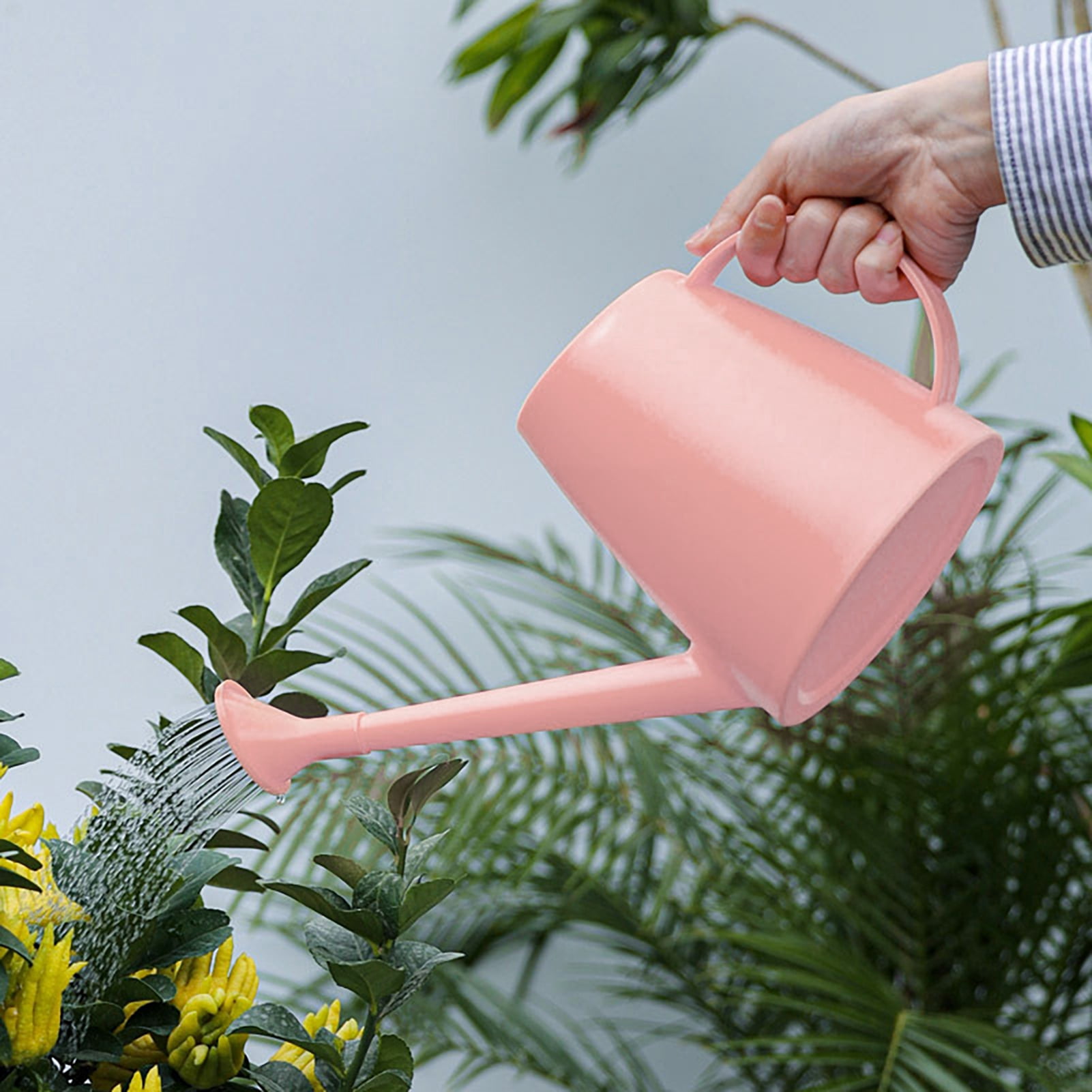 ZNNT 1.8L Watering Can with Long Spout Watering Can with Removable ...