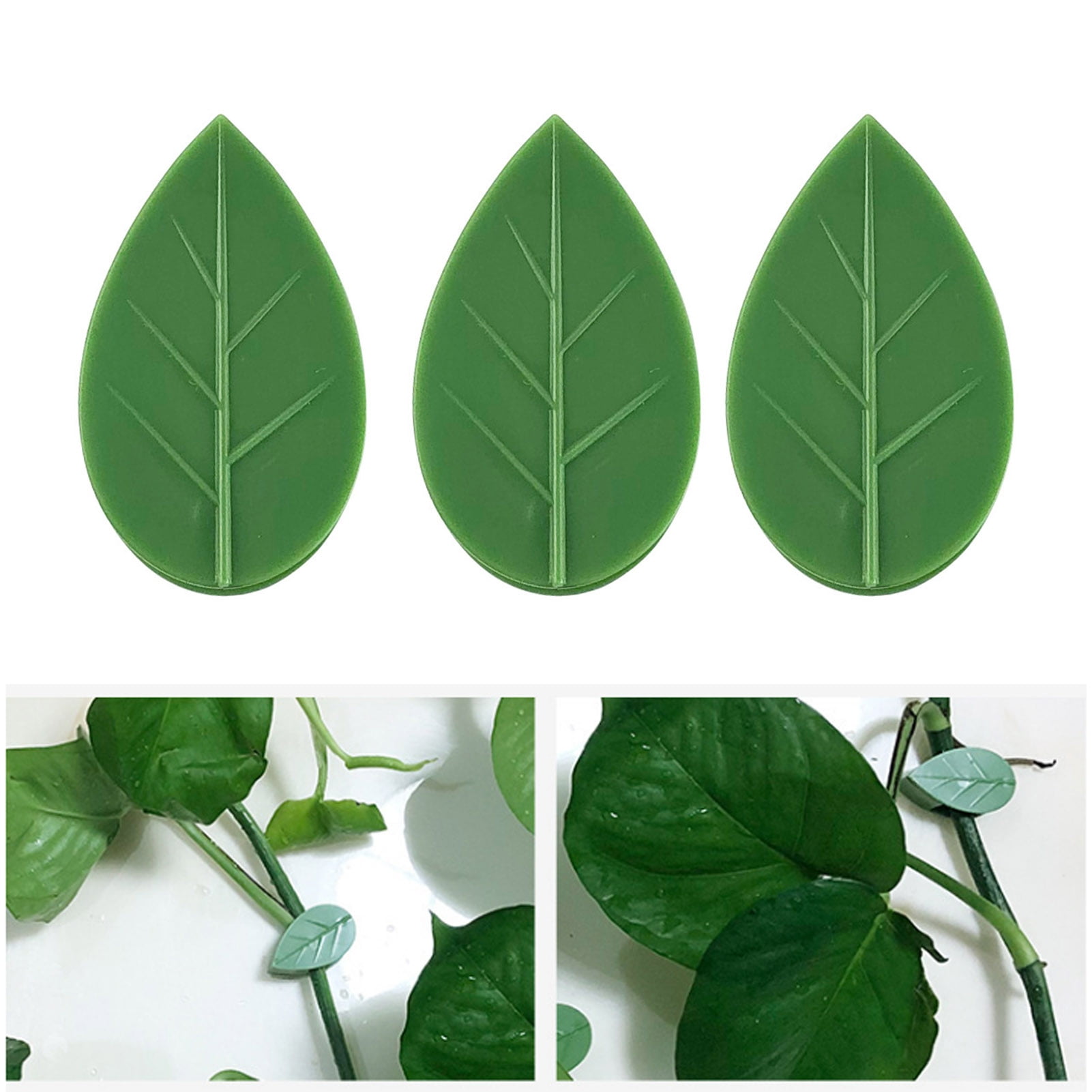 ZNNT 40 Pcs Plant Climbing Wall Fixture Clips with Adhesive Stickers ...