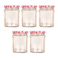 ZNNT 5Pcs 50/150/250/380ML Transparent Glass Pickle Bottle with Lid ...