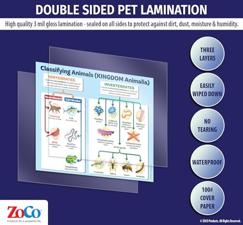 ZOCO - Animal Kingdom Classification Poster (5 Pack) - Laminated 17 x ...