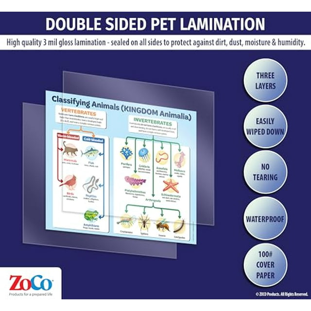 ZOCO - Animal Kingdom Classification Poster (5 Pack) - Laminated 17 x ...