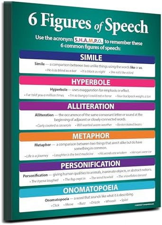 ZOCO – Figures of Speech Poster (20-Pack) – Laminated 17x22 ...