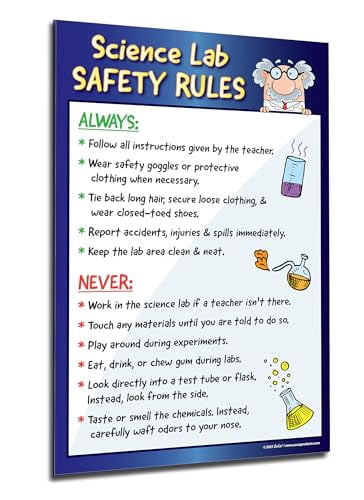 ZOCO - Science Lab Safety Rules Poster (5 Pack) - Kids Science Posters ...