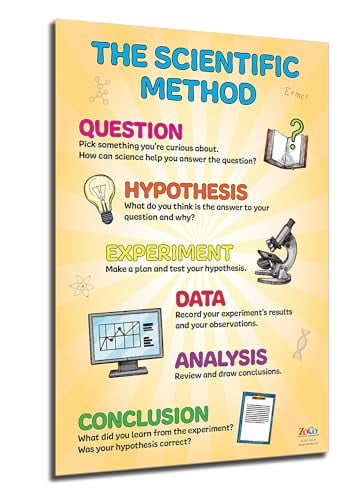 ZOCO — Scientific Method Posters (5 Pack) — Middle & High School ...