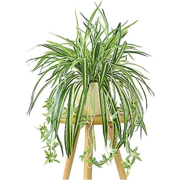 Artificial Spider Plants for Home Decor in Green and Realistic Style