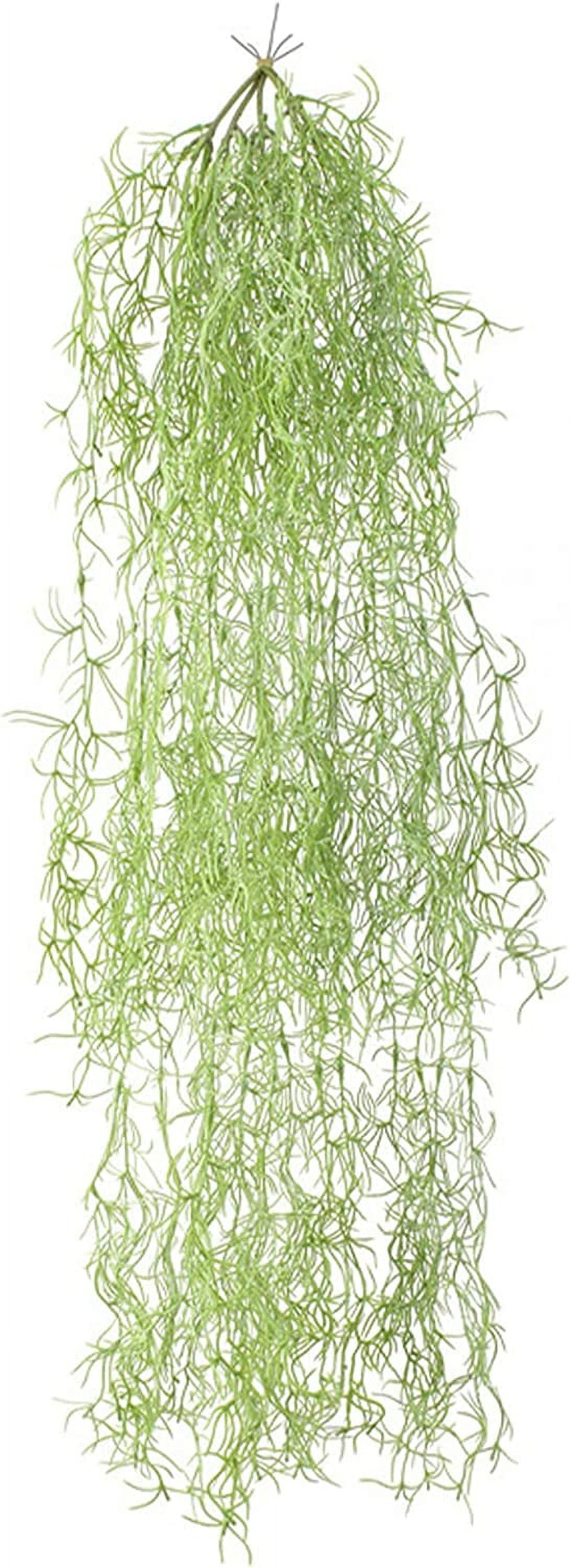ZOELNIC 2pcs Artificial Spanish Moss Hanging Plant Fake Hanging Vines ...