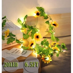 Solar Wreath