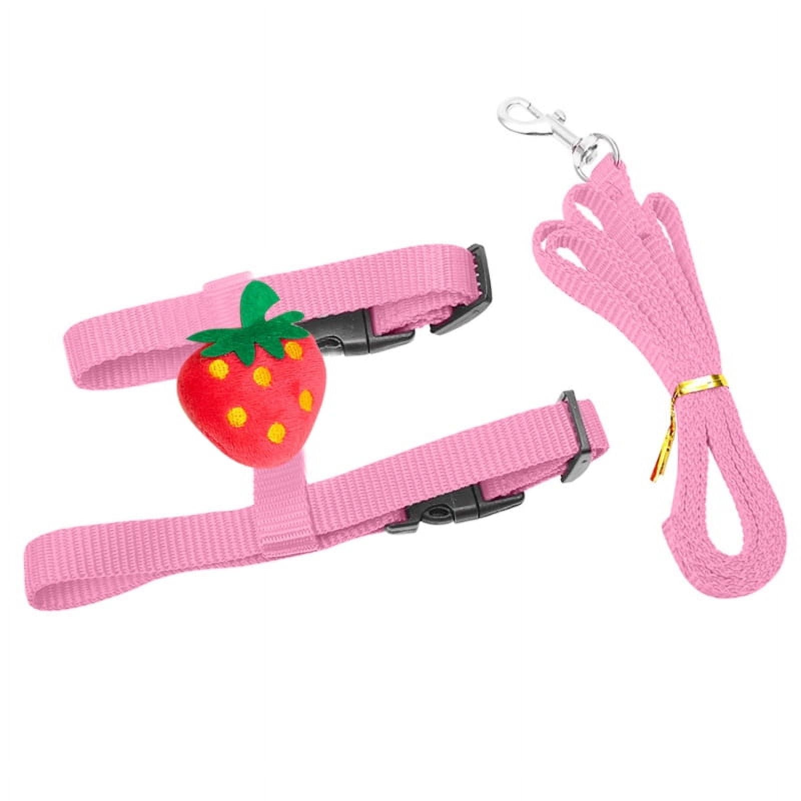 ZPAQI Bunny Rabbit Lead Harness Leash Guinea Pig Nylon for Kitten ...
