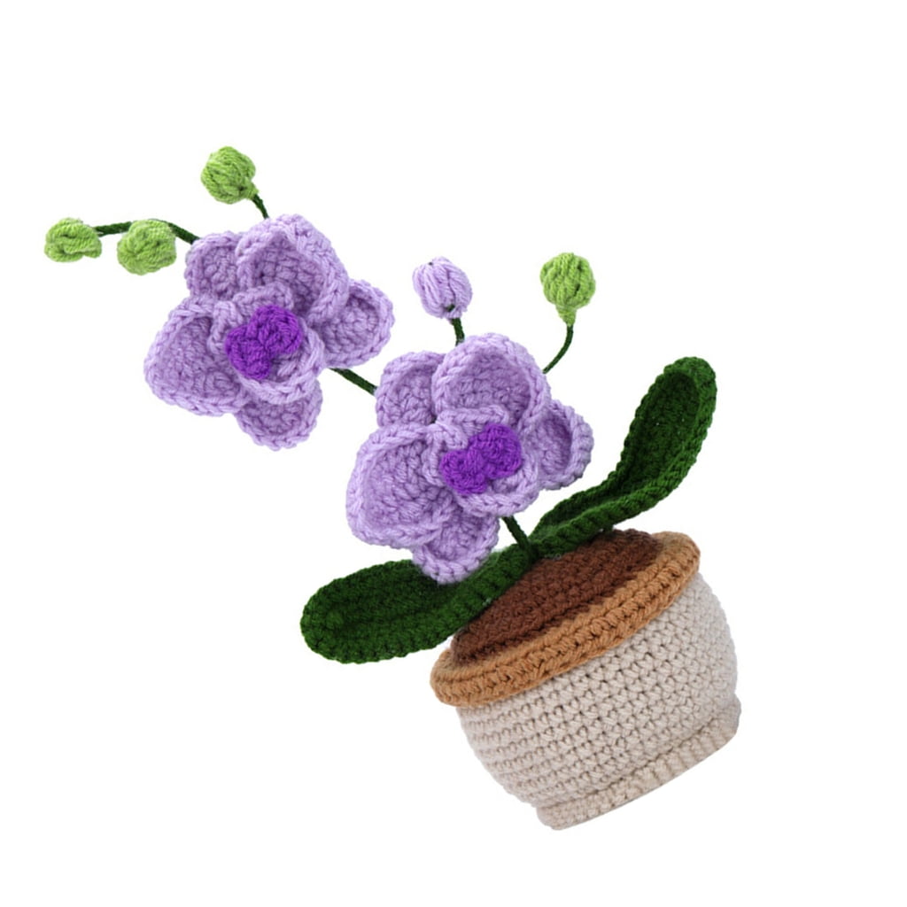 ZPAQI DIY Crochet Potted Plant Kits for Beginners, with Crochet Hook ...
