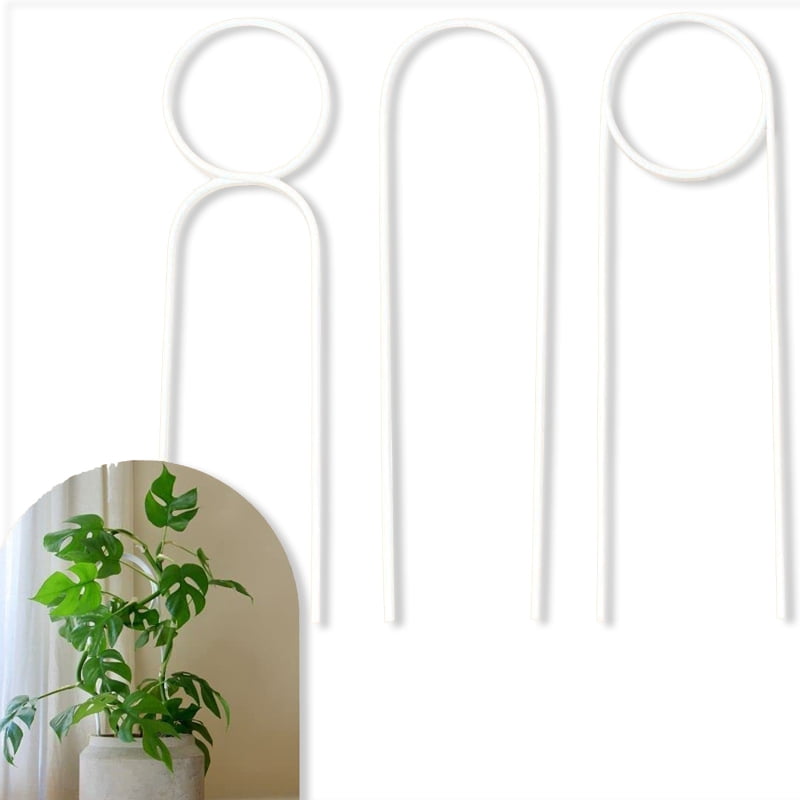 ZPAQI Indoor Plant Trellis 3Pcs Plants Metal Support Holder Growing ...