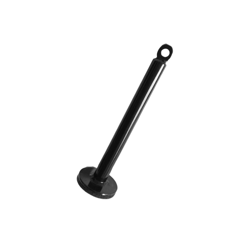 ZPAQI Loading Pin Dumbbell Rack, Gym Barbell Weight Plate Barbell Plate ...