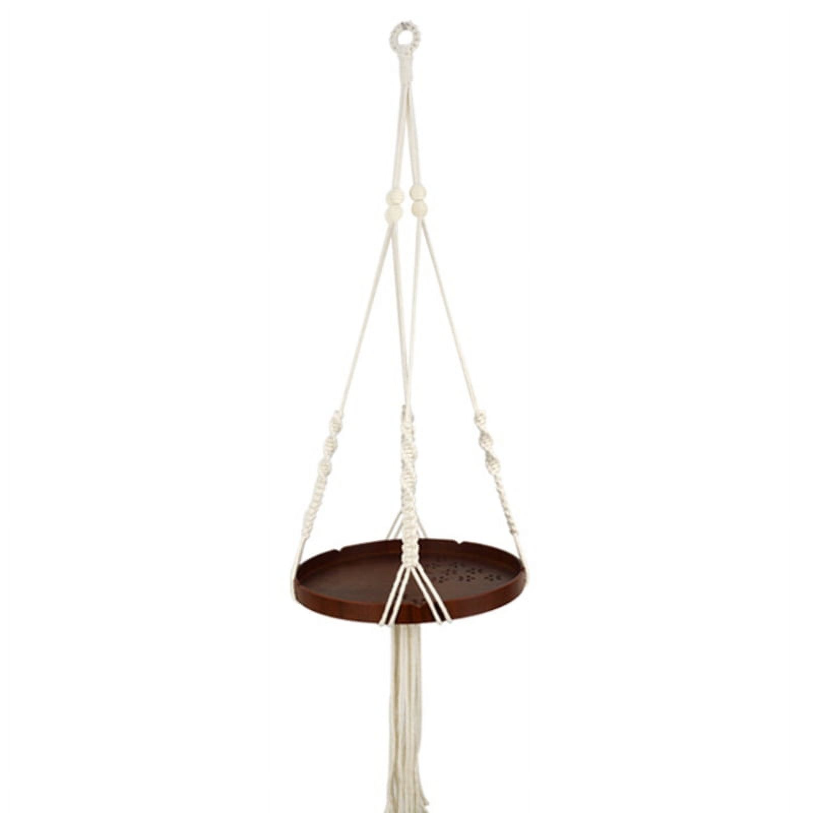 ZPAQI Mahogany Disc Hanging Planter Succulent Planting Wall Hanging ...