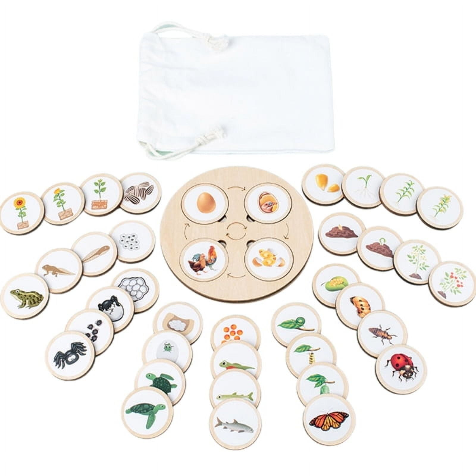 ZPAQI Montessori Life Cycle Toy Set with Wood Tray Plants Growth Nature ...