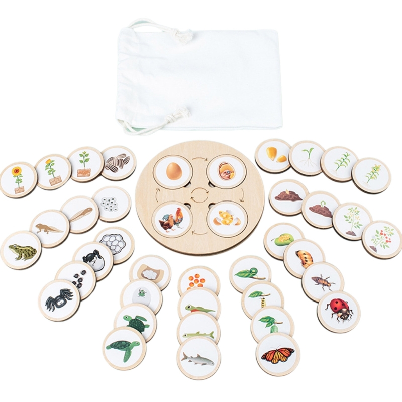 ZPAQI Montessori Life Cycle Toy Set with Wood Tray Plants Growth Nature ...