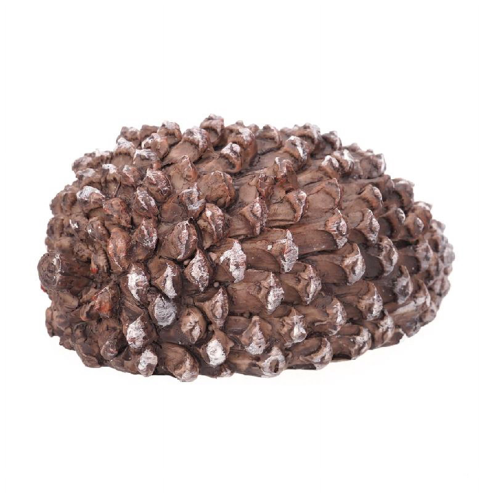 ZPAQI Pine Cone Key Stash with Concealed Compartment Secret Jewelry ...