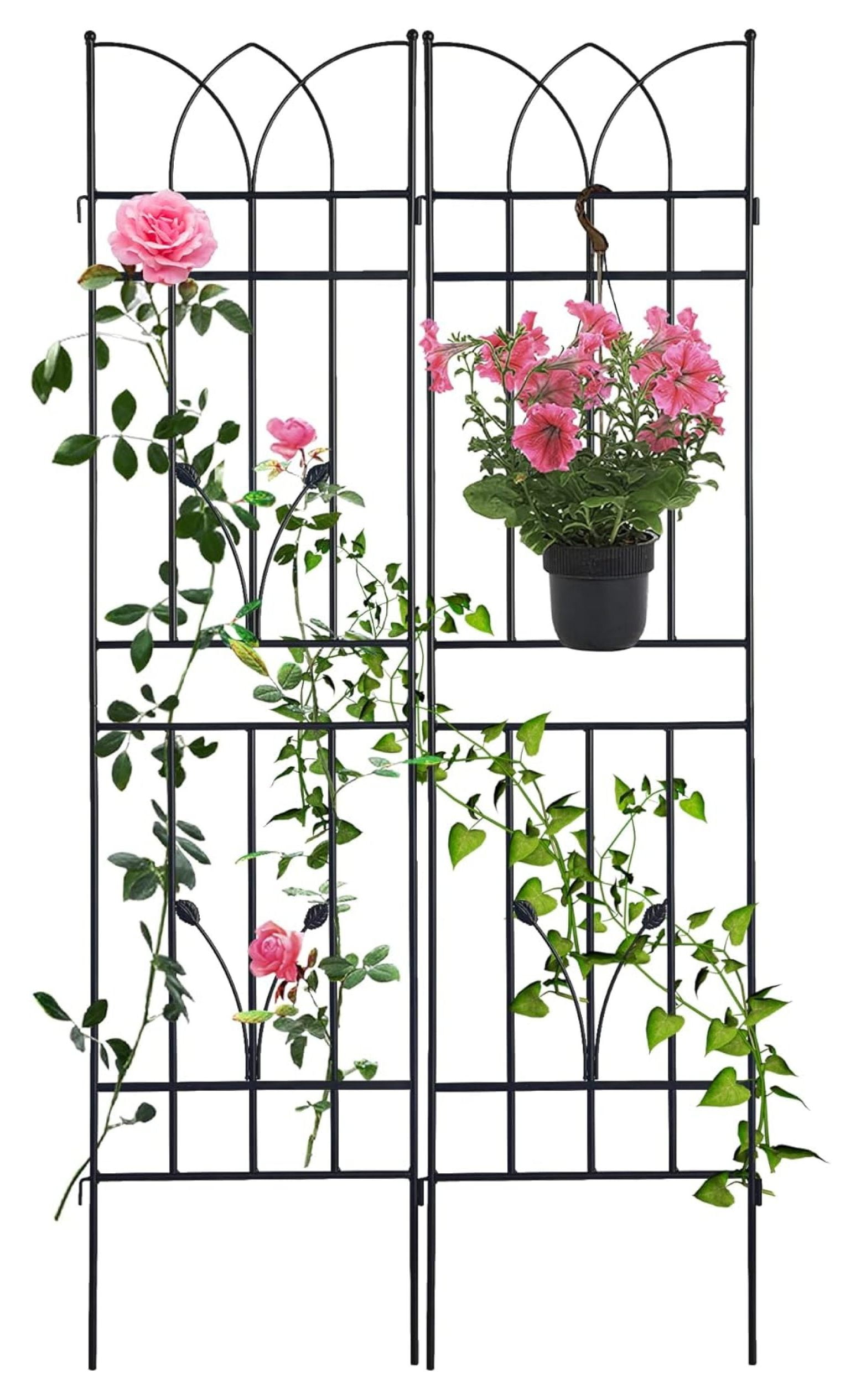 ZRQarq Metal Trellis Garden Trellis 2 Pack Metal Garden Trellis 71"×18 ...