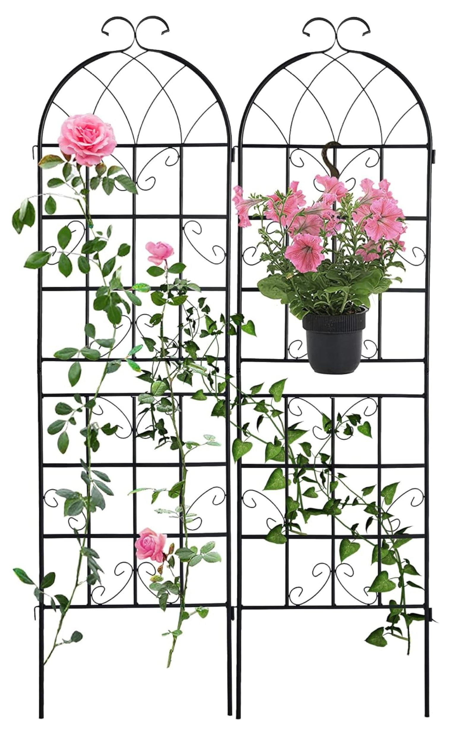ZRQarq Metal Trellis Garden Trellis 2 Pack Metal Garden Trellis 71"×20 ...