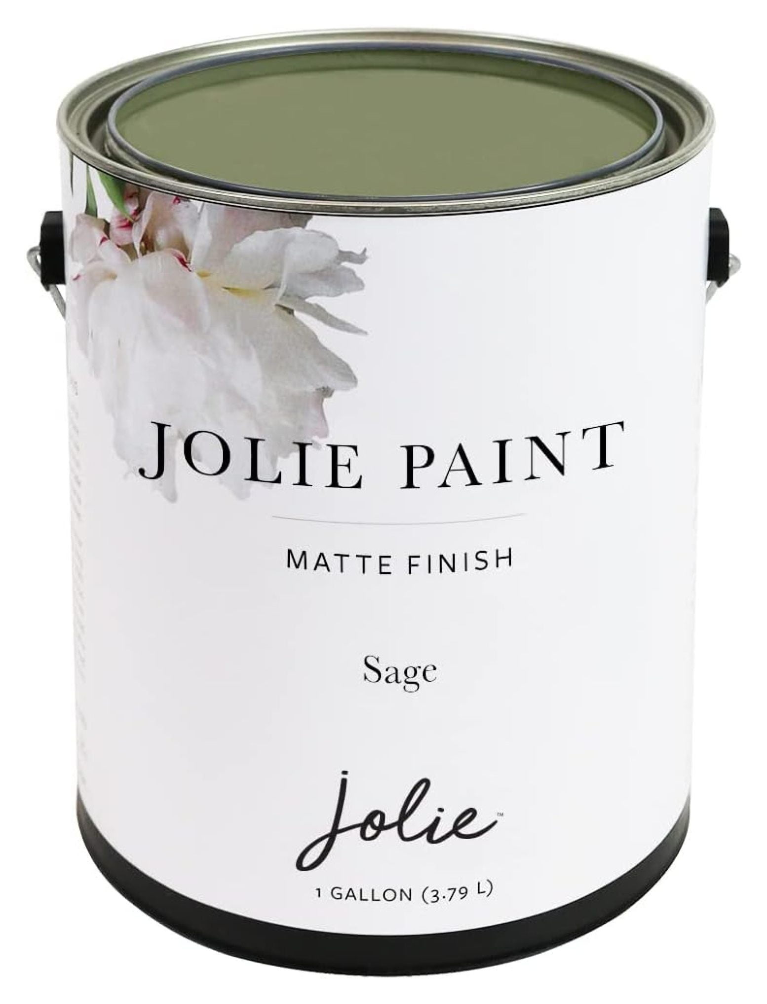 ZRQarq Paint – Chalk Finish for Furniture, Cabinets, and Décor, Green ...