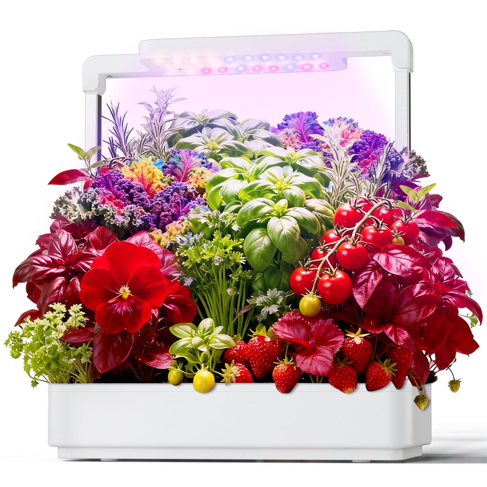 UNTIMATY 12 Pods Updated Hydroponic Growing System Hydroponic System ...